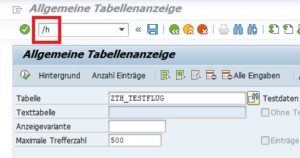 Daten im Data Browser (SE16 und SE16N) ändern - Tipps & Tricks